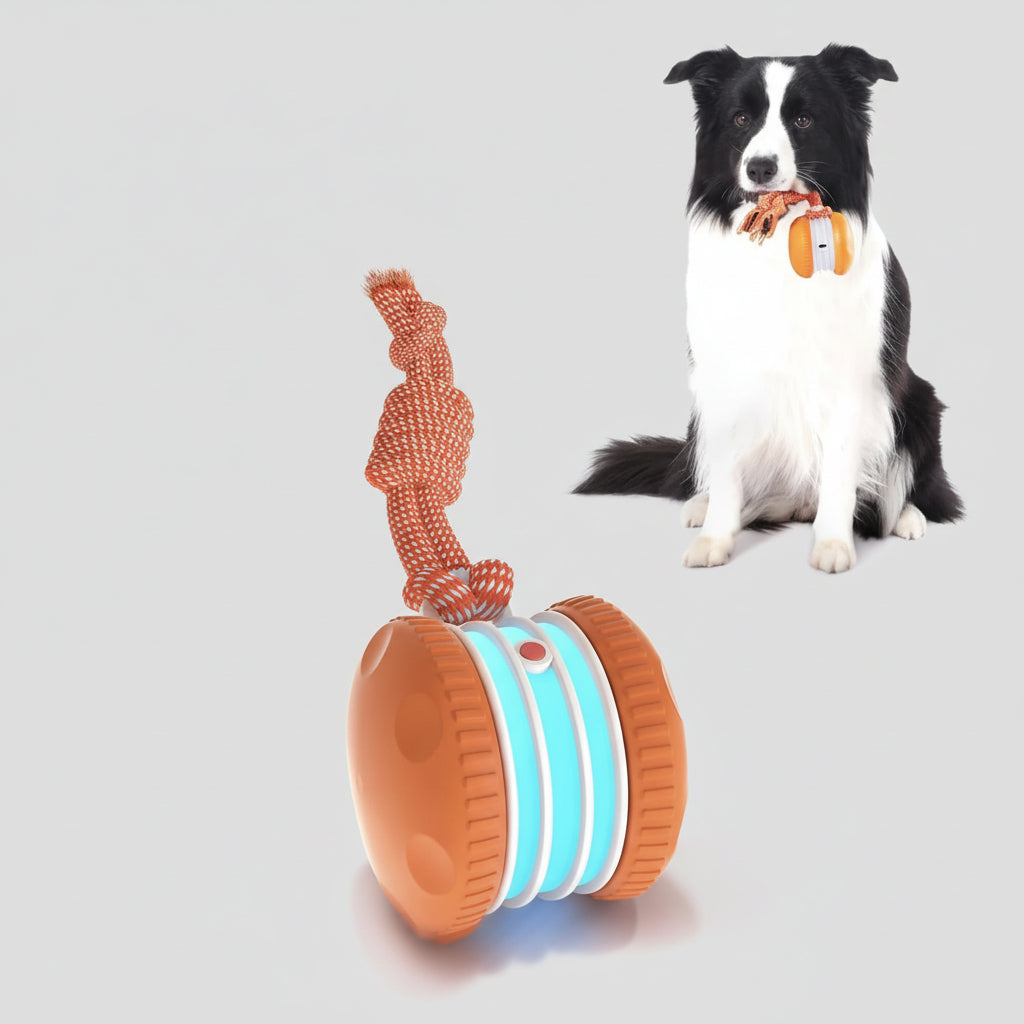 Interactive Dog Toy Ball Motion Sensor Rope